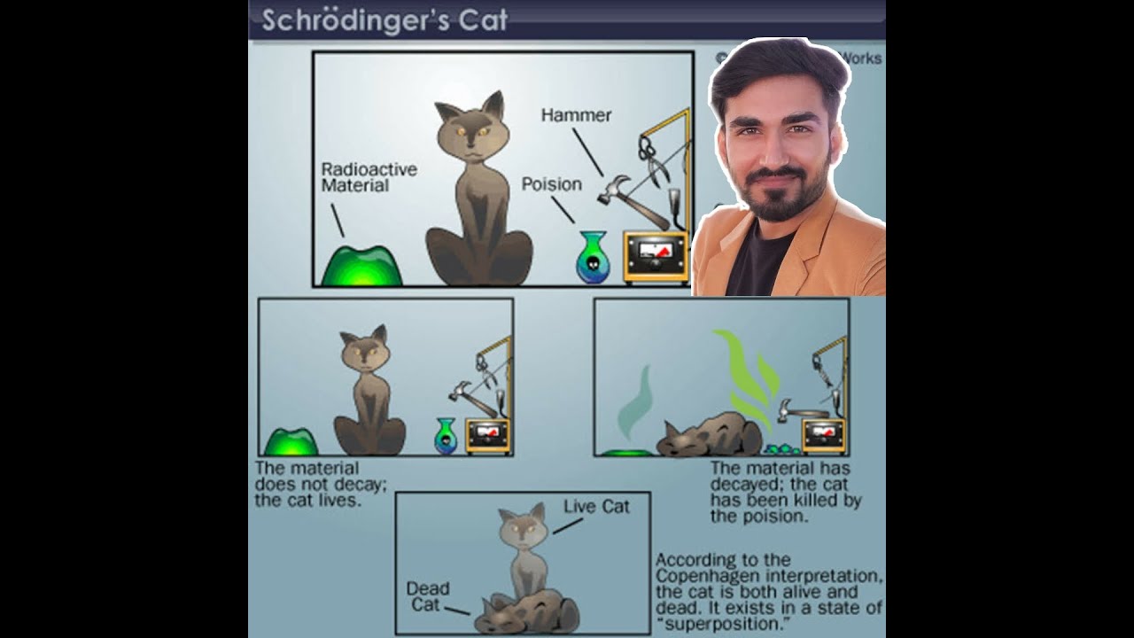 Schrodinger's CAT & Paradox - YouTube