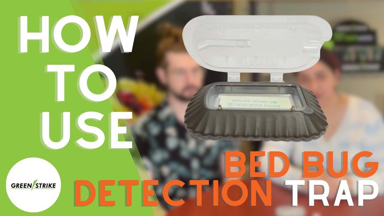 How to use the BED BUG DETECTION TRAP | GreenStrike® #bedroom #bedbug # ...
