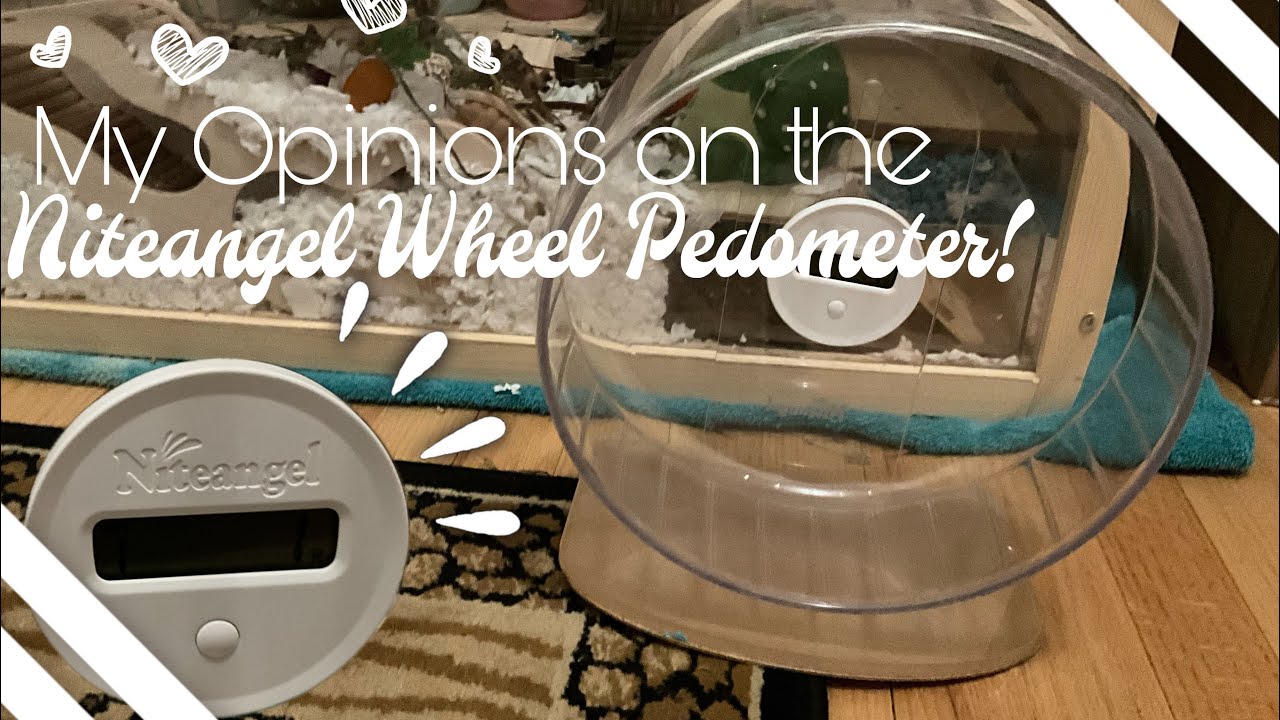 My Opinions on the Niteangel Wheel Pedometer! - YouTube