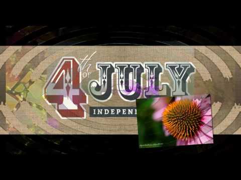 A sad and wet July-4th 2016