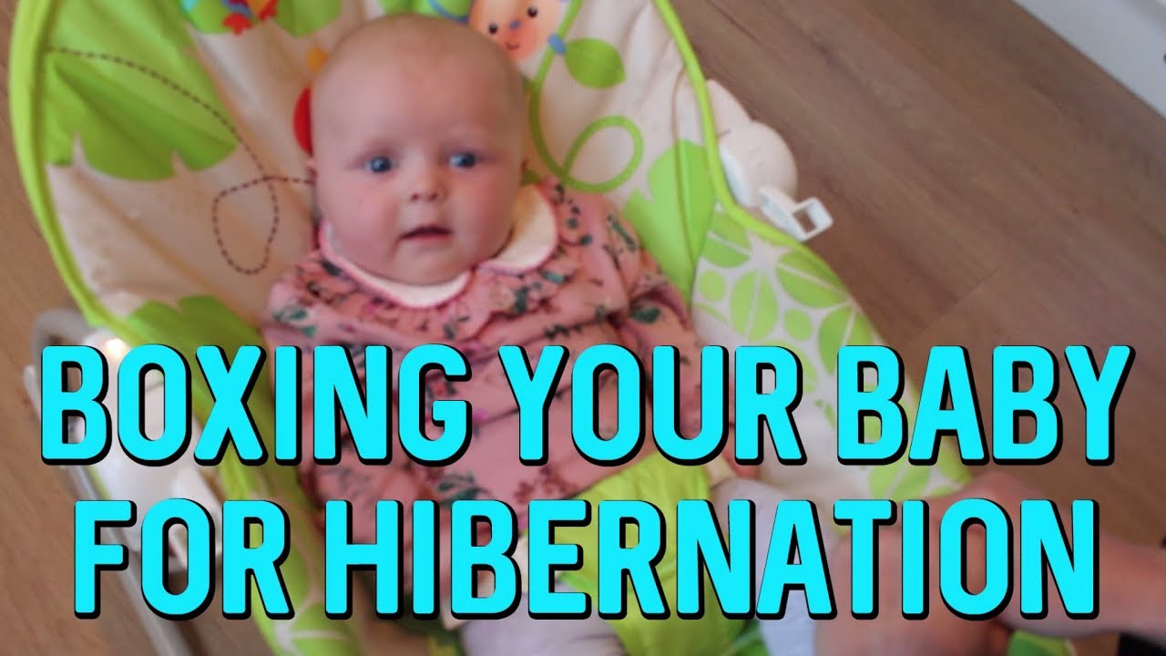 Boxing your baby for hibernation - YouTube