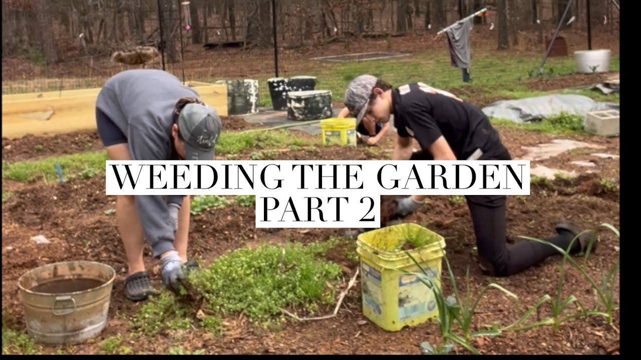 We finished our spring weeding! (Time lapse) - YouTube