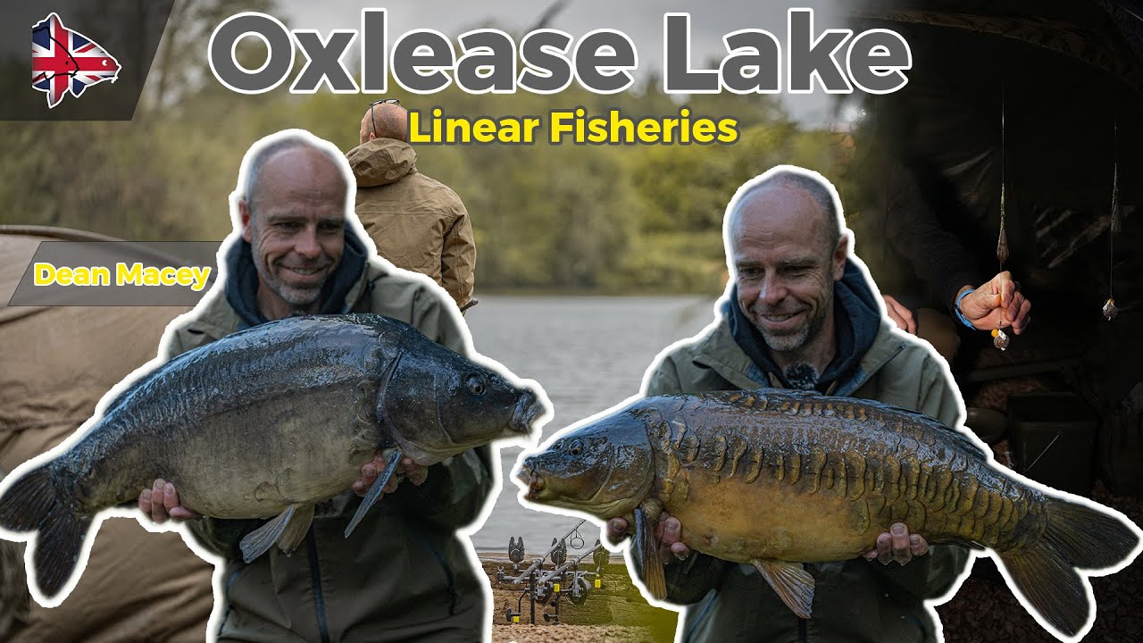 Is this the Perfect CARP FISHING Weather!? 😲 24-Hours Carp Fishing with ...