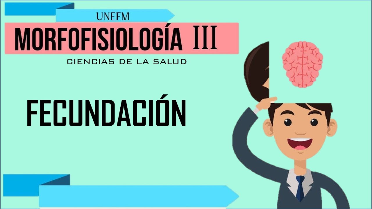 FECUNDACION - YouTube