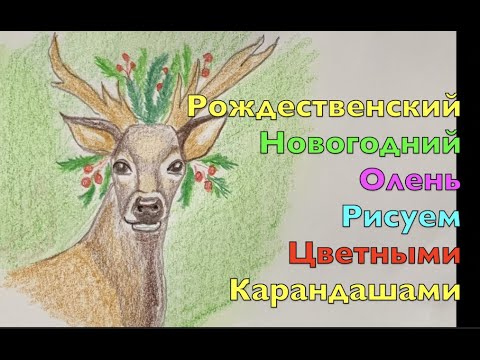 Новогодний Рождественский Олень. Рисуем цветными карандашами - YouTube