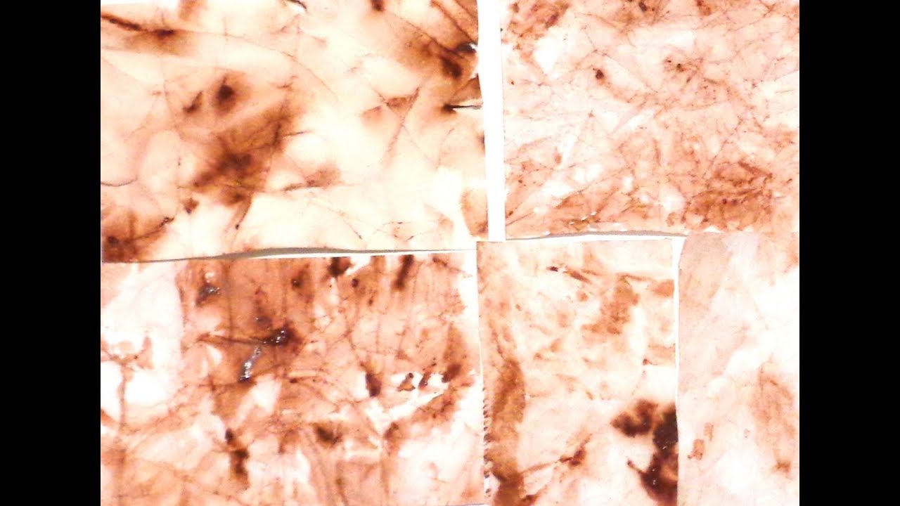 Paper Crush Mixed Media Technique - YouTube