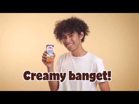 Cimory UHT Milk, Premium Cokelatnya, Kemewahan Susu Sultan!