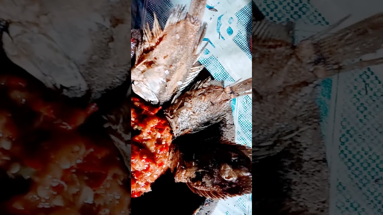 Sambal Macang + ikan asin sepat - YouTube