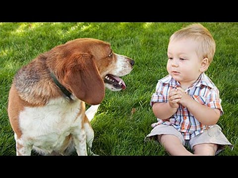 Funny babies acting like dogs – Funny and cute compilation - YouTube