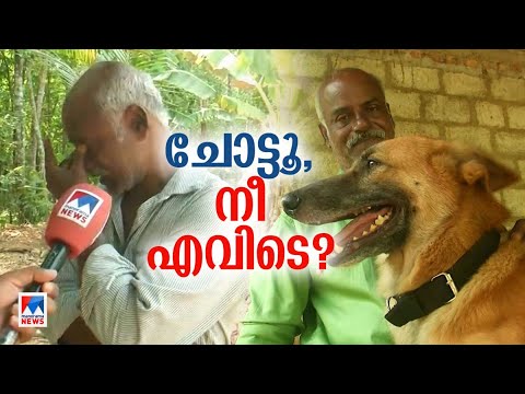 ചോട്ടുവിനെ കാണാനില്ല; ഹൃദയം തകര്‍ന്ന് പ്രിയപ്പെട്ടവര്‍; തിരഞ്ഞ് നാട് ...
