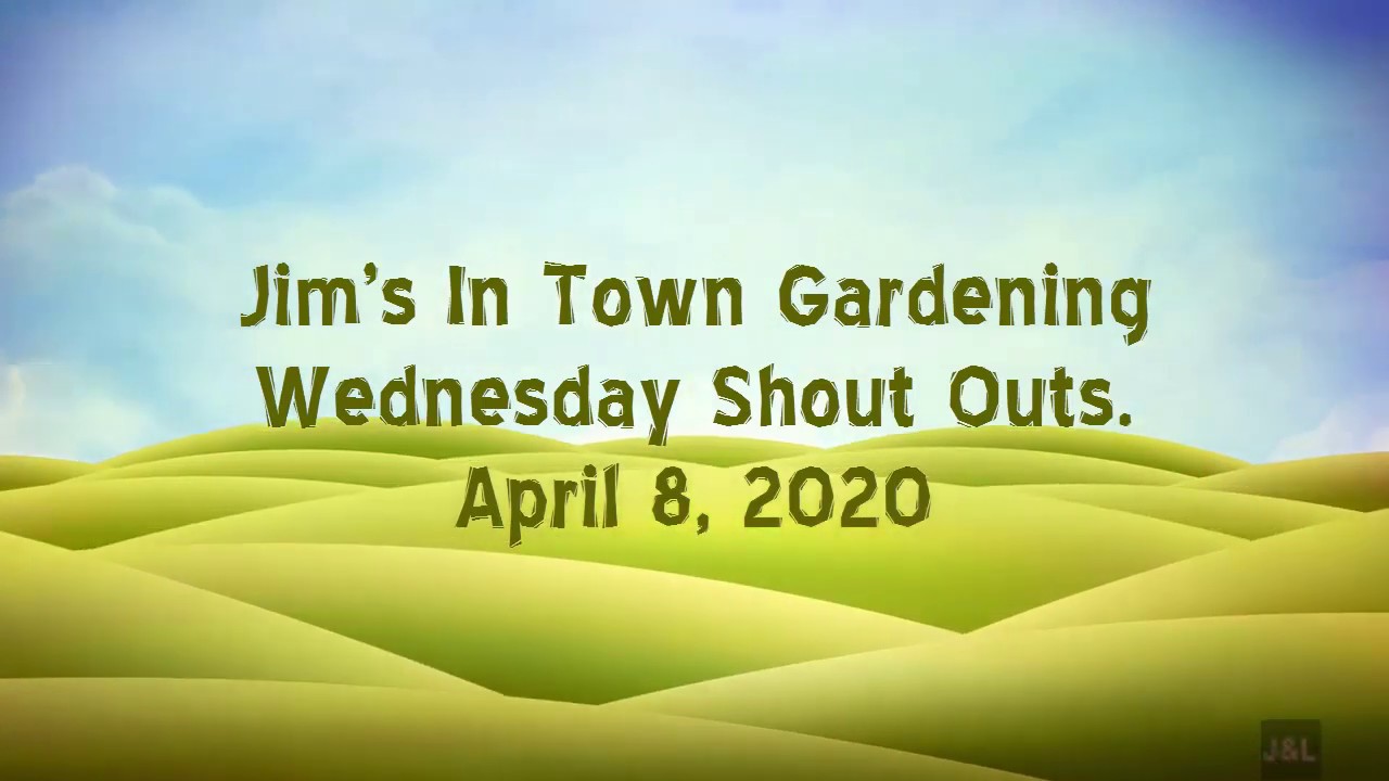 Wednesday Shout-outs April 8, 2020 - YouTube