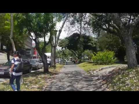 Corredor Biológico Interurbano Río Torres - Municipalidad de San José ...