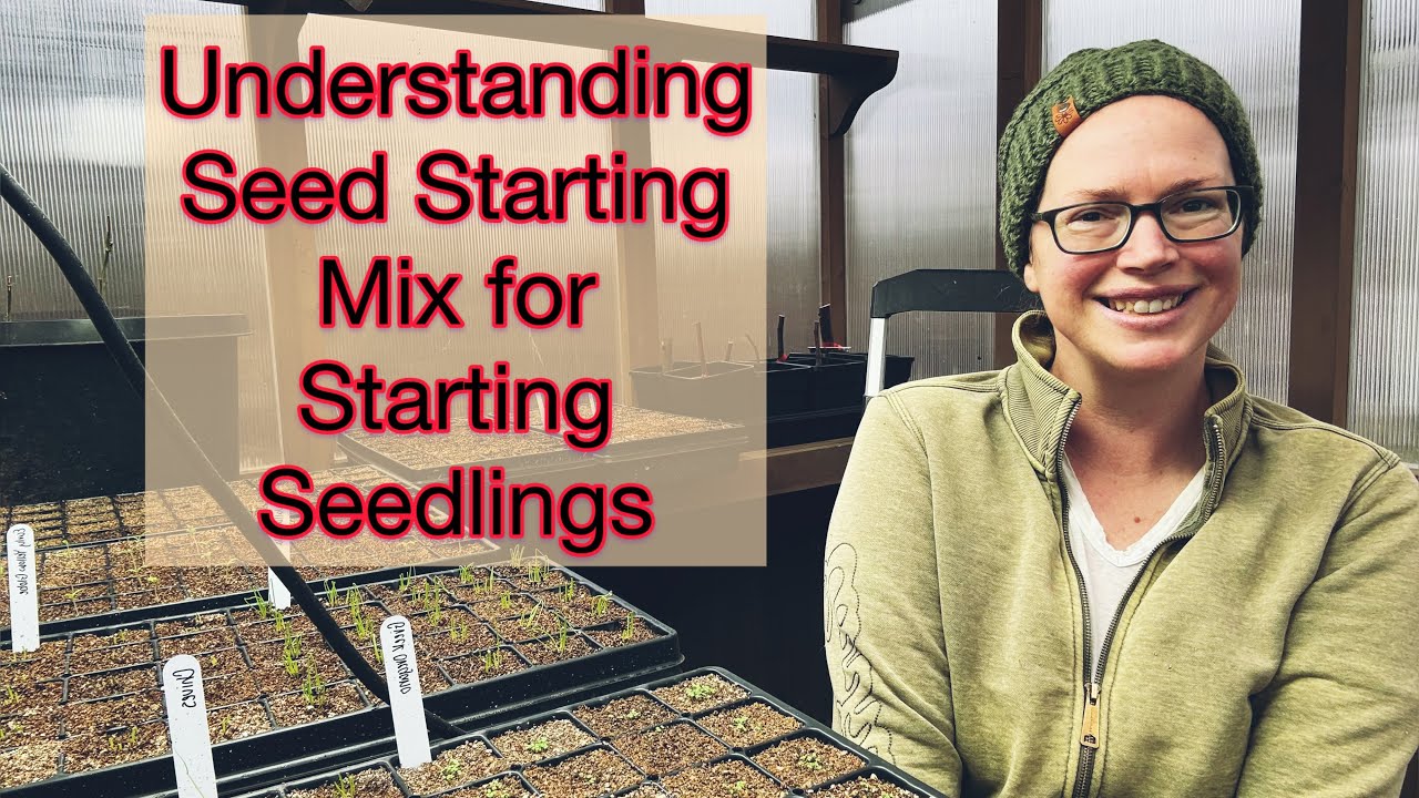 Why Seed Starting Mix Matters vs Potting Soil and other growing mediums ...