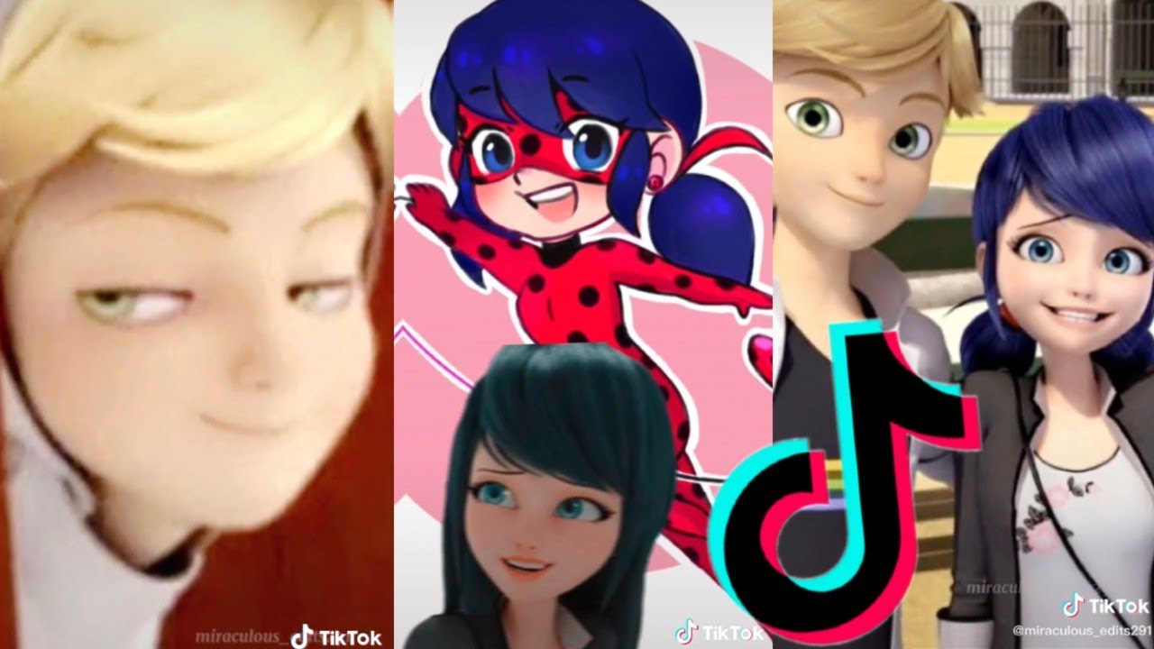 Best Miraculous Ladybug Tiktoks to watch after watching an episode ...
