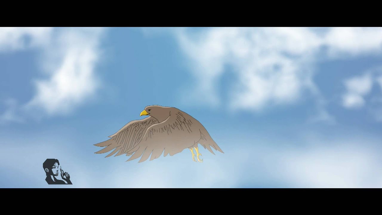 Eagle Flight Cycle - YouTube