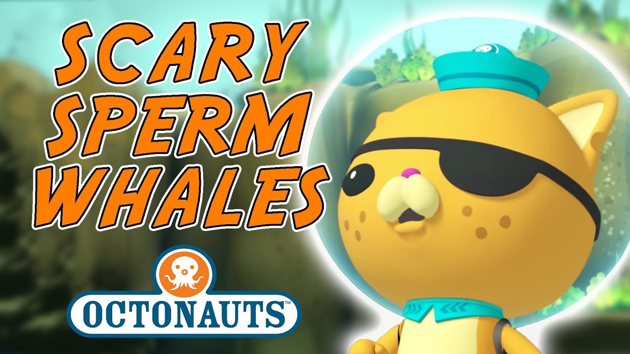 Octonauts - Scary Sperm Whales | Outnumbered - YouTube