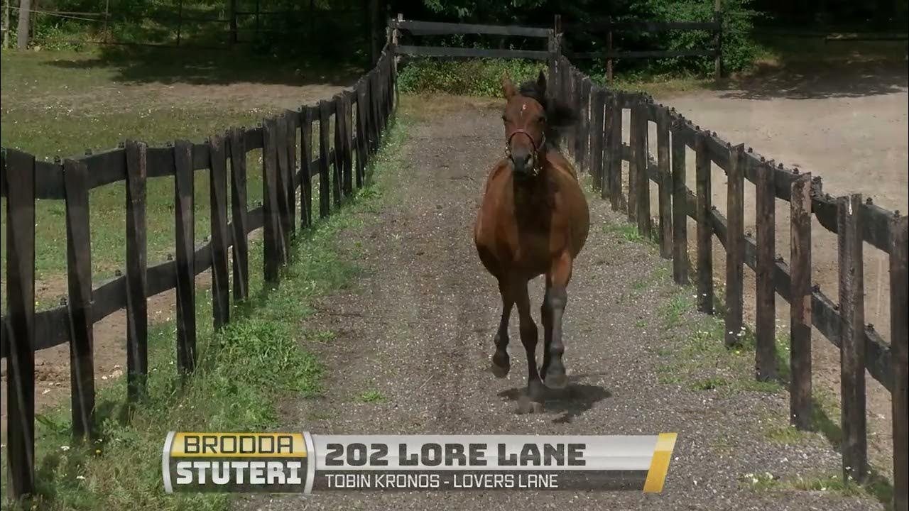 202 Lore Lane - YouTube
