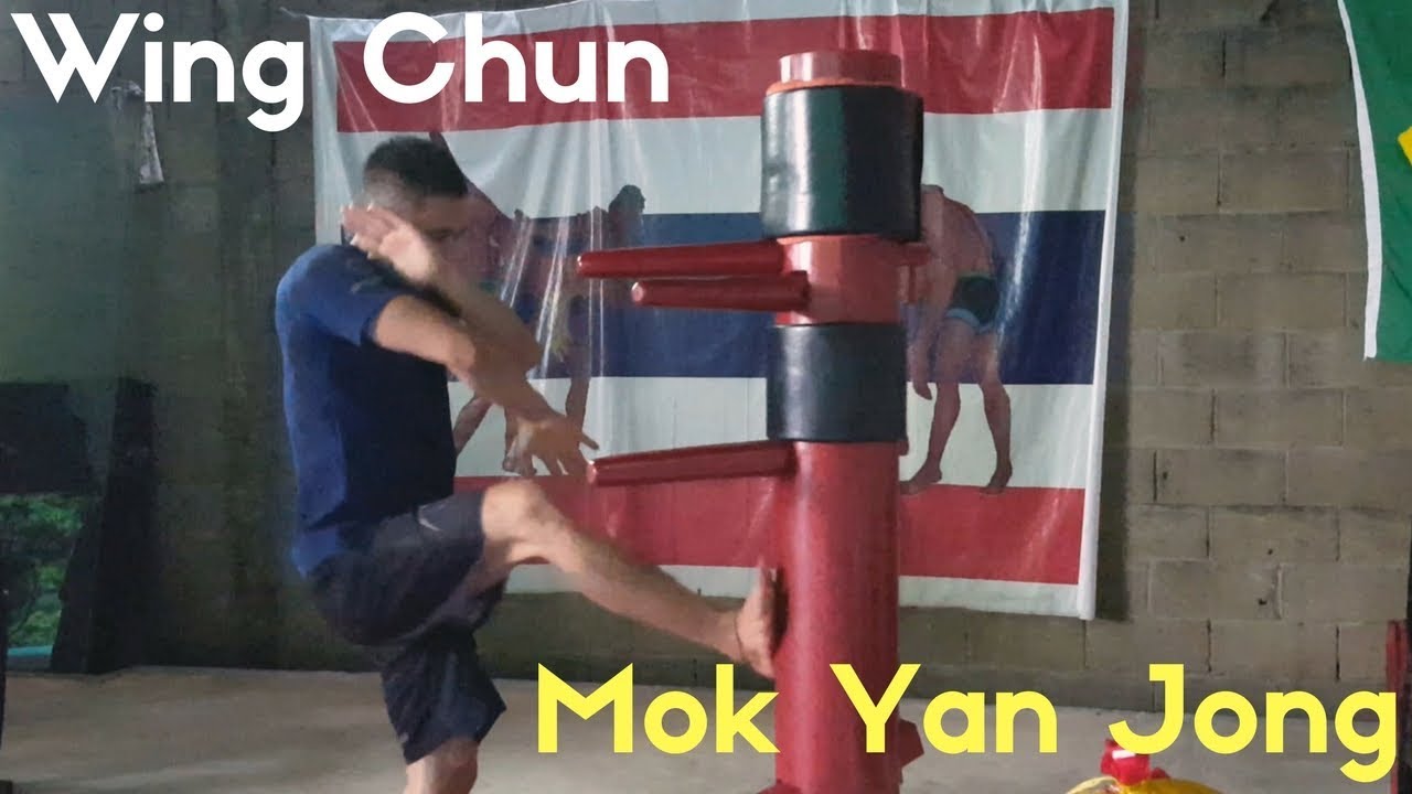 Wing Chun Mok Yan Jong Form - YouTube