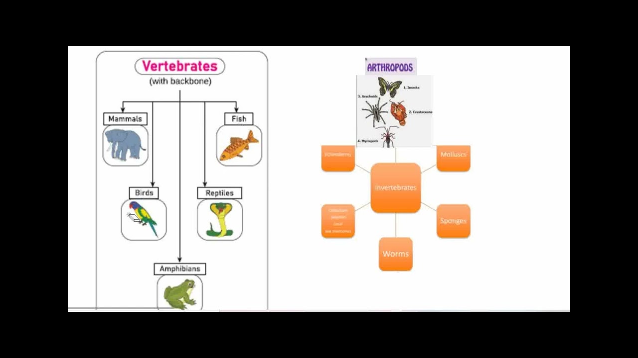 2014 stage 4-paper 1-SCIENCE-progression test-question-answer explained ...