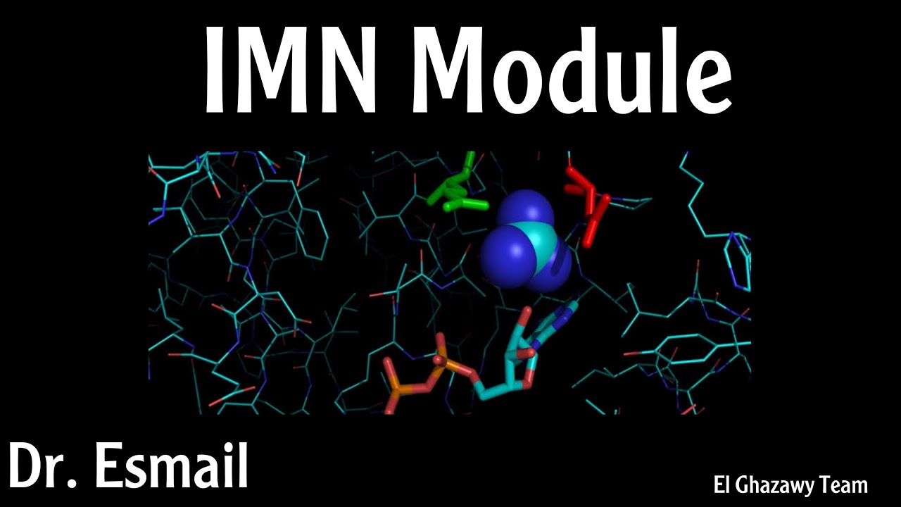 IMN | Bioenergetics & Metabolism - YouTube