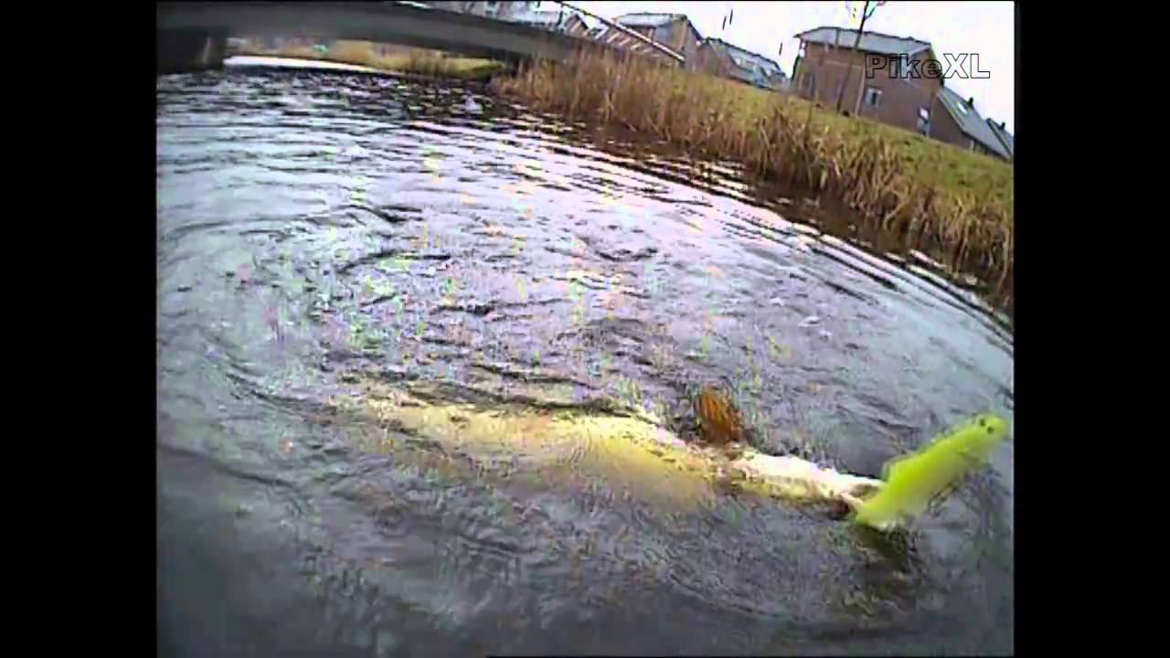 underwater pike strike 10" Bass Harasser silver shiner - YouTube