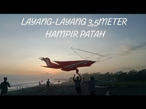 Layang-Layang Bebean 3,5 Meter Berhasil Mengudara Di pantai Spang Bali ...