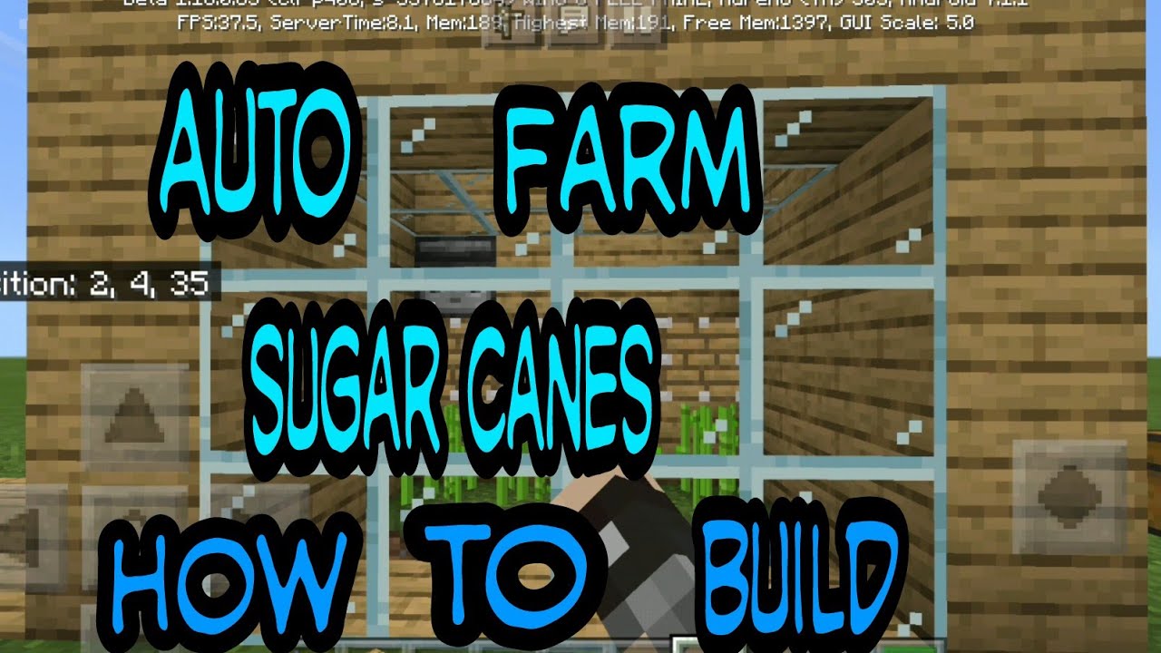 How To Build Auto Farm Sugar Canes | Easy To Build | Minecraft - YouTube