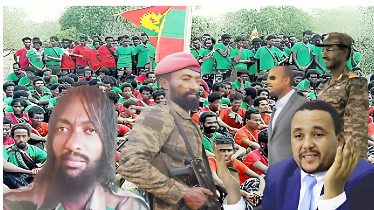 oduu guyyaa har'aa #voaafaanoromo #bbcafaanoromo #omn - YouTube