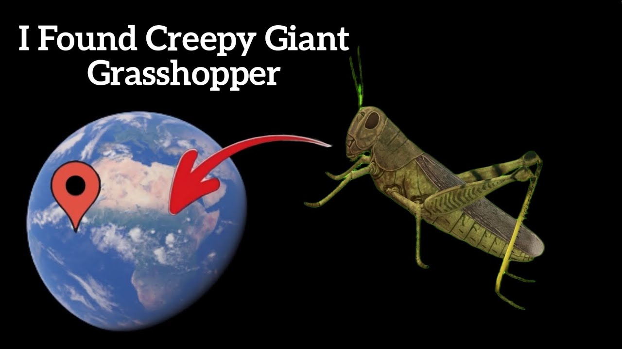 Creepy Grasshopper 🦗 on google maps and google earth 🌍 #earth #maps # ...