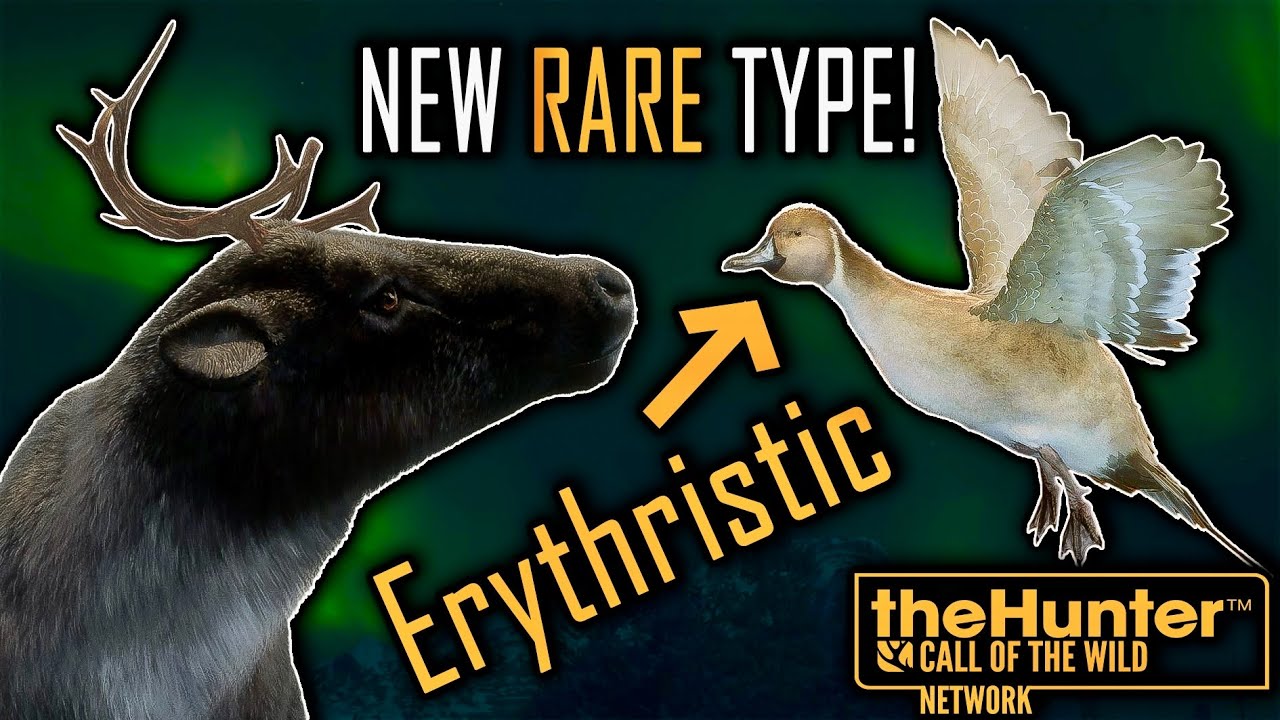 **EARLY ACCESS** A RARE UNDER THE AURORA & THE *FIRST* ERYTHRISTIC ...