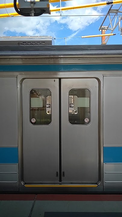 【2024.08.18】JR西日本奈良線205系0番台NE402編成車両のドア開閉。黄檗駅 - YouTube