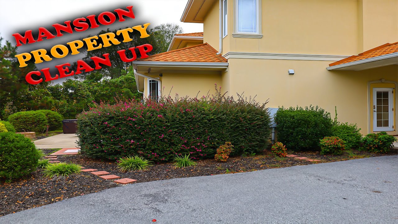 Cleaning Up A Overgrown Mansion Property - YouTube