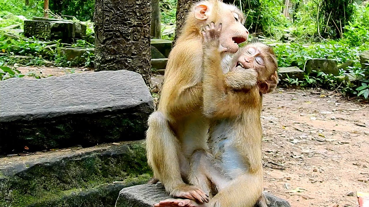 Wow! These two sister Lila and Linda tried to g-rab food each other ...