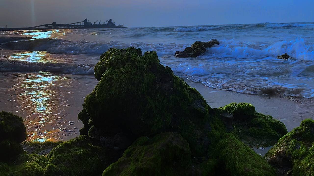 Tropical Beach Ambience: 3 Hours of Peaceful Ocean Waves - YouTube