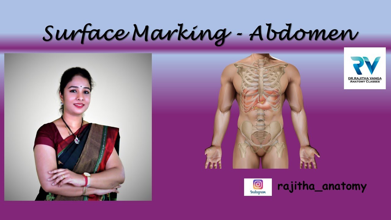 Surface Anatomy of Abdomen | Surface Marking | MBBS Practicals | NEET-PG | FMGE - YouTube