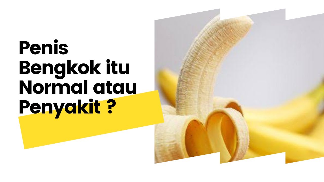 P3nis bengkok itu normal atau penyakit?? | Kelas Andrologi - YouTube