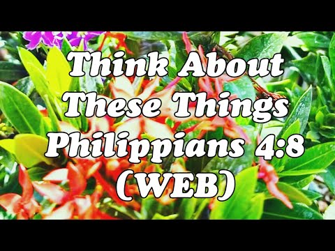 Think About These Things 💕 | Philippians 4:8 #verseoftheday - YouTube