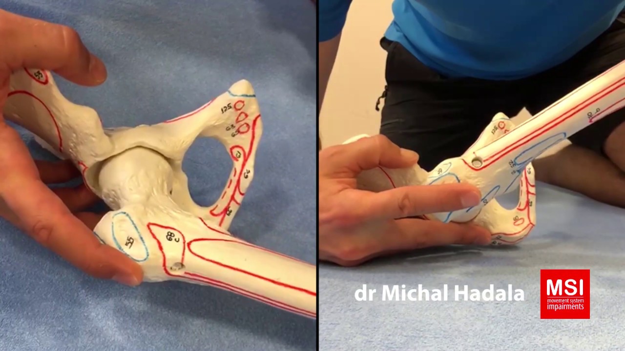INTRODUCCIÓN del MOVEMENT SYSTEM IMPAIRMENTS - YouTube