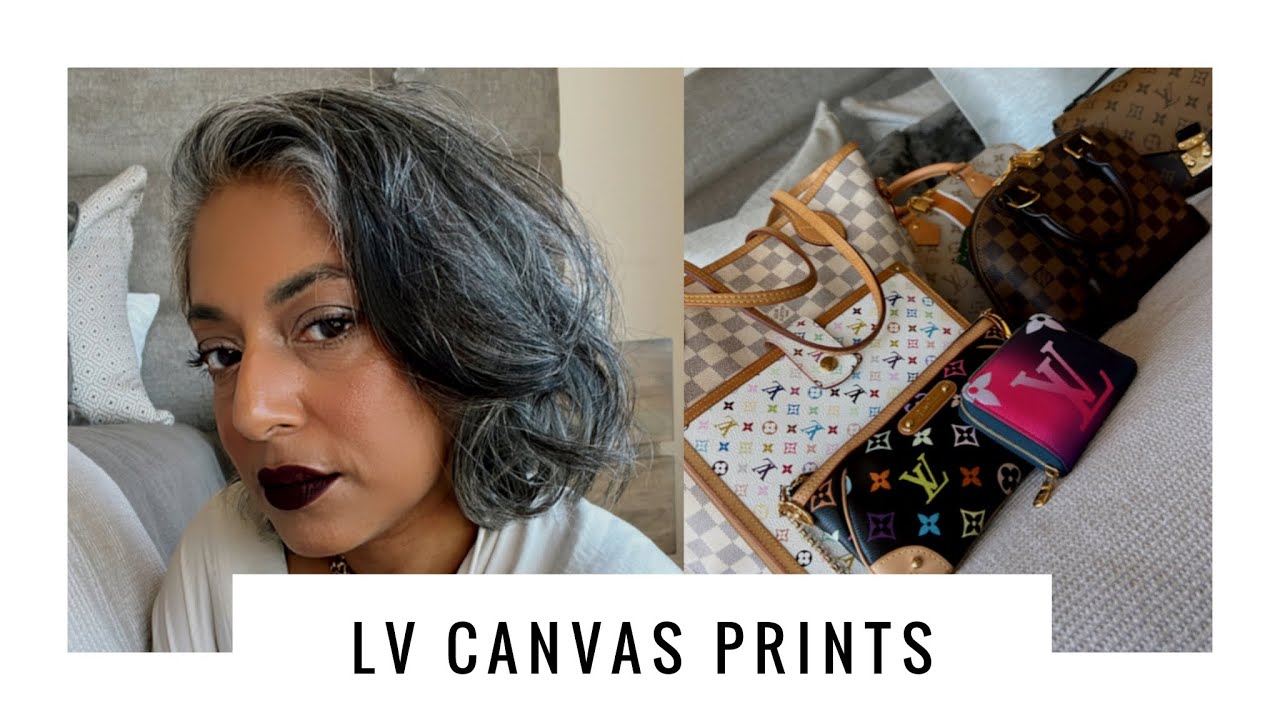 Diverse Louis Vuitton Canvas Prints in My Designer Handbag Collection ...
