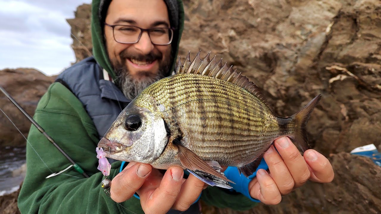 Βραστόψαρα και Σαργουδάρες. LRF με Worthy και Psaraki. - YouTube