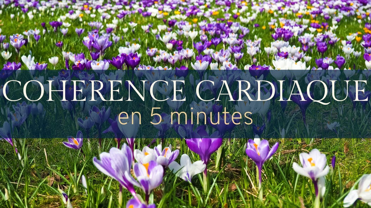 COHERENCE CARDIAQUE 5 minutes - YouTube