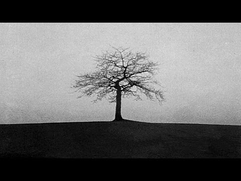 Flowing Tears & Withered Flowers - Swansongs