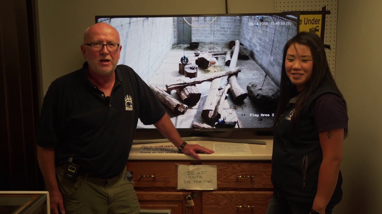 Episode 18 Black Bears at NIWRA Part 2 - YouTube