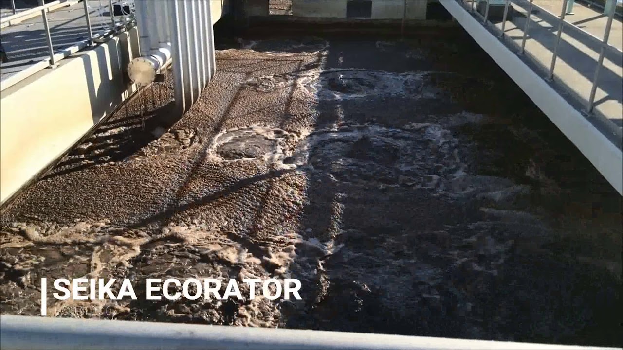 SEIKA Ecorator - YouTube