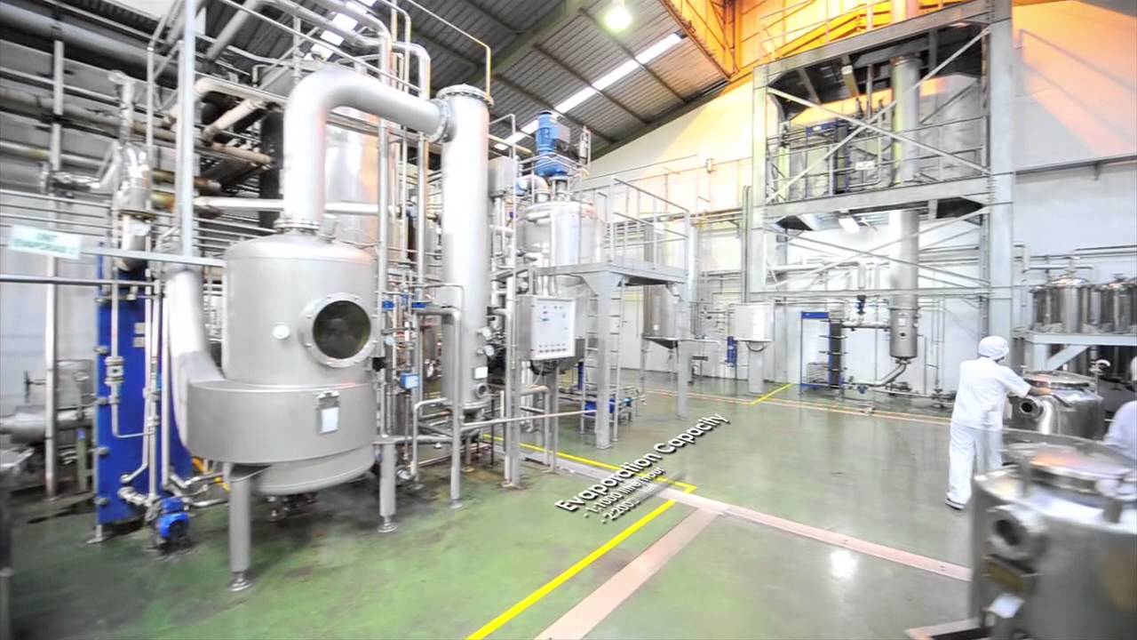 Javaplant Curcumin - YouTube