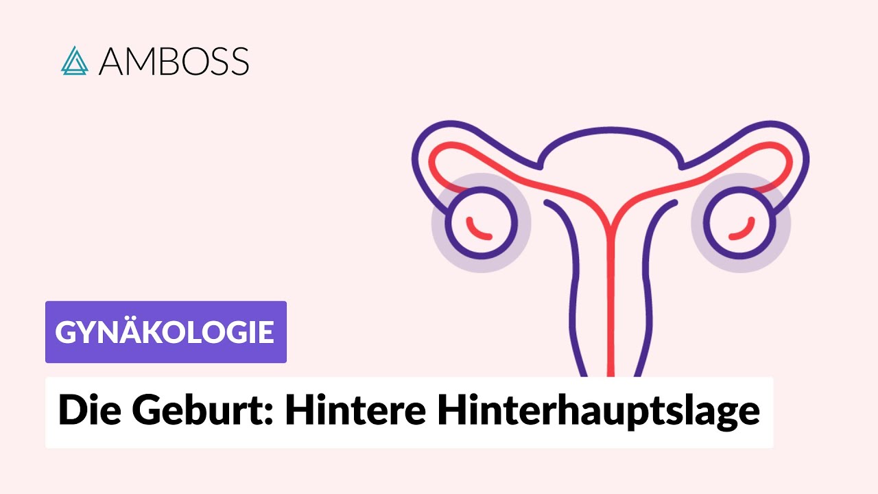 Hintere Hinterhauptslage -- Gynäkologie: Die Geburt -- AMBOSS Video ...