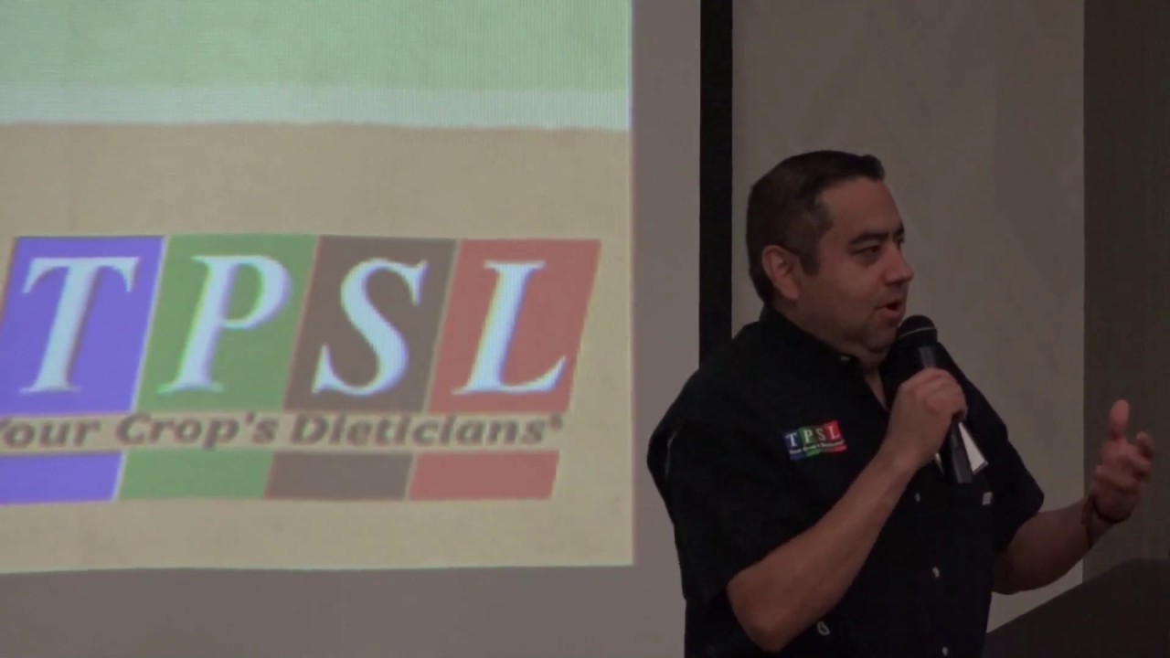 COMPOST STA Test Reports Explained - YouTube