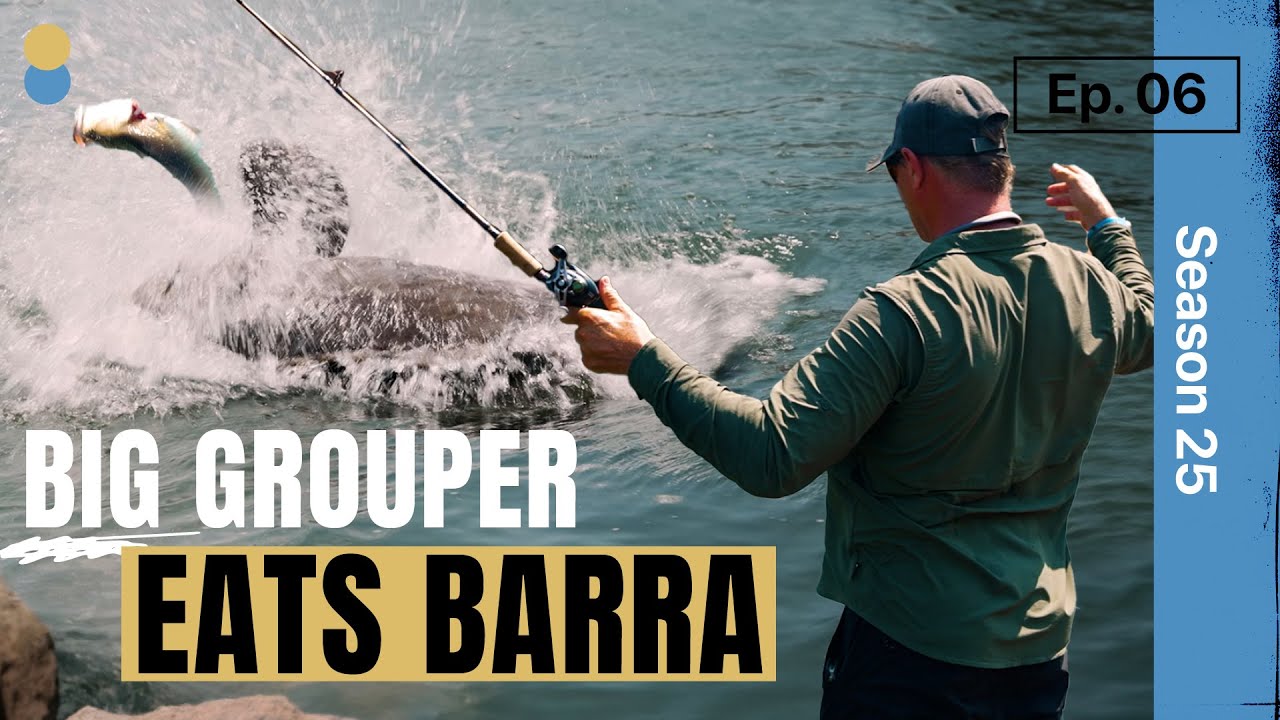 Massive Grouper eats my Barramundi. 🔥 Crazy! Night fishing for Barra at ...