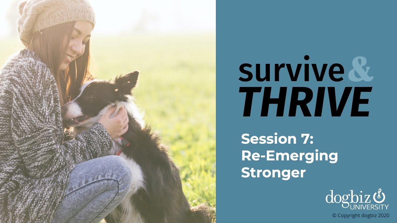 Survive & Thrive Session 7: Re-Emerging Stronger - YouTube