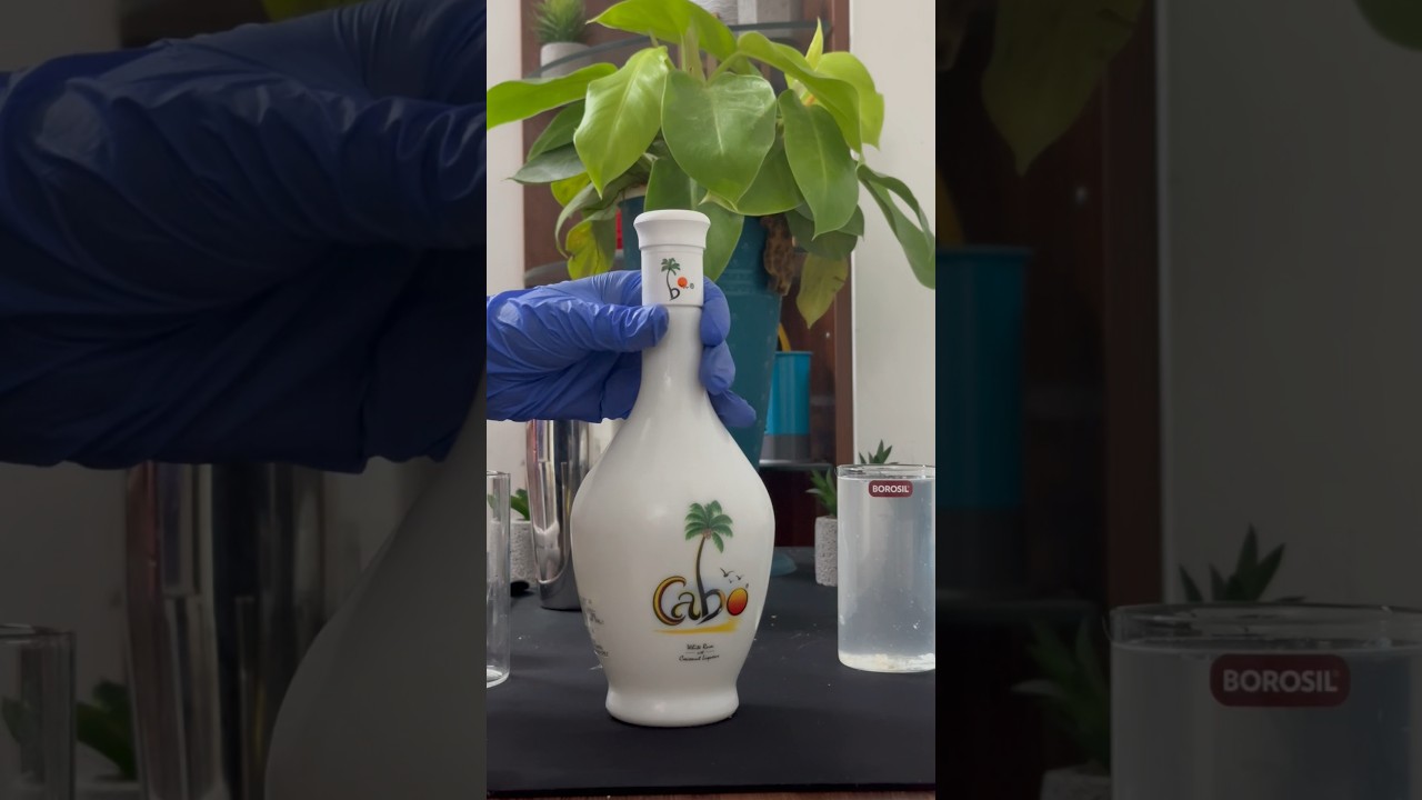 Goa Special Cabo🍸 #cabo #alcohol #trendingshorts #Rum #shotoniphone # ...